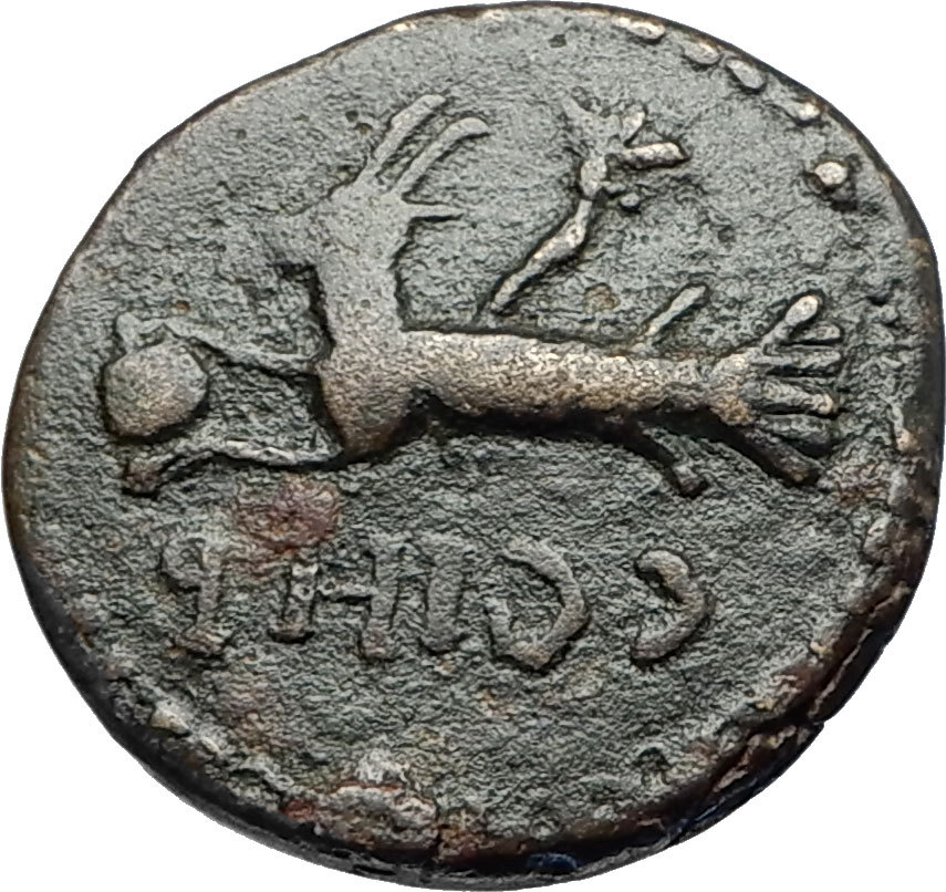 SEVERUS ALEXANDER 222AD Parium Parion Mysia Ancient Roman Coin ...
