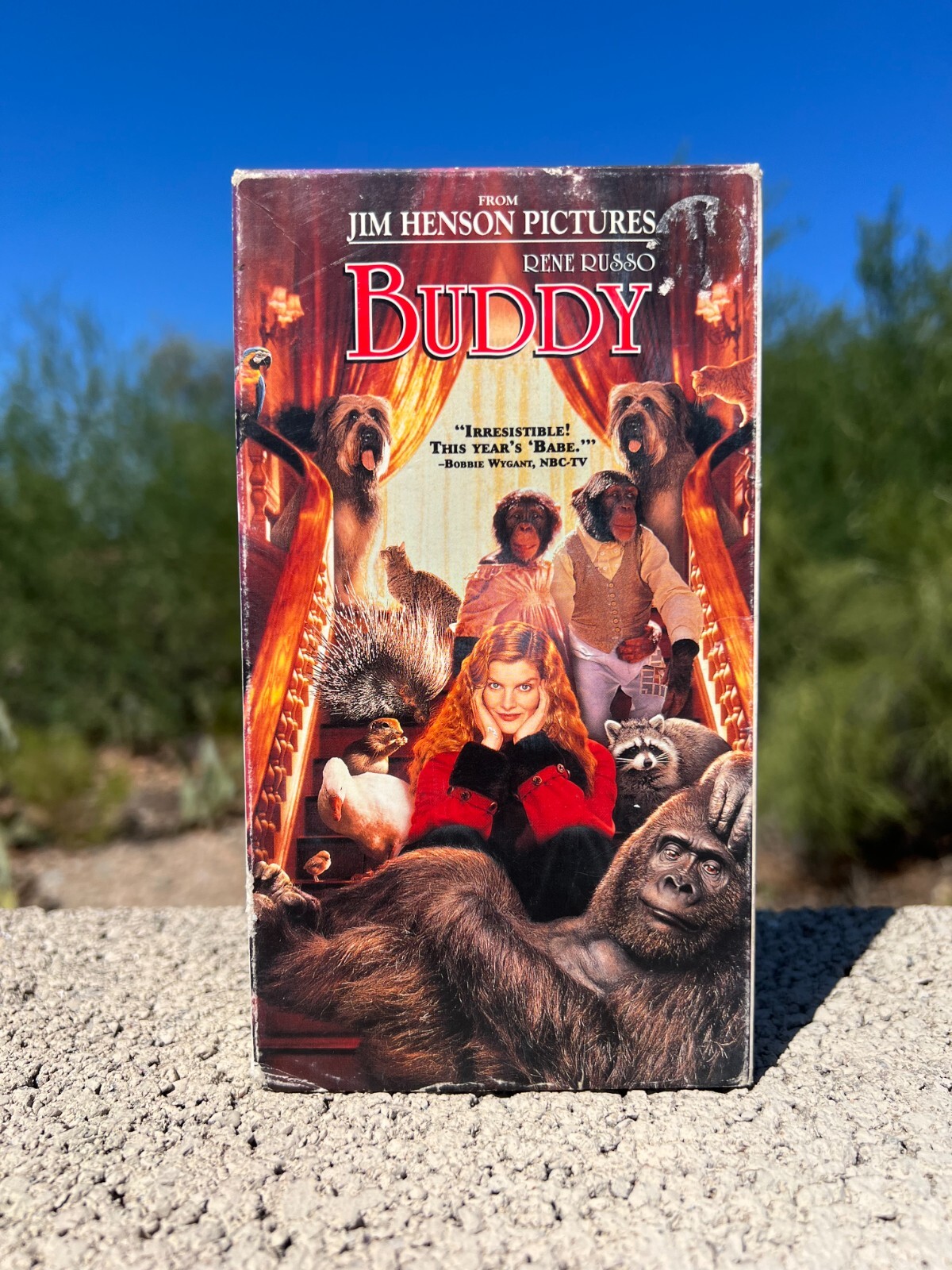 Jim Henson Pictures - Buddy starring Rene Russo - Robbie Coltrane (VHS ...