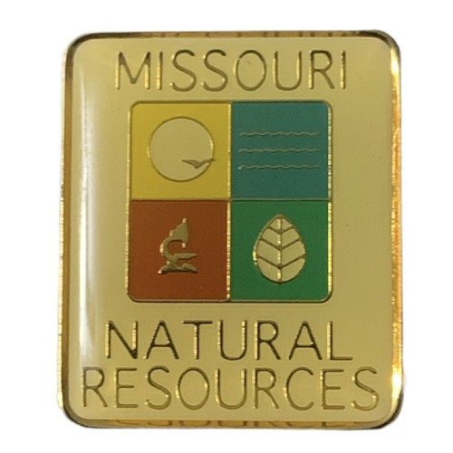 Vintage Missouri Natural Resources Travel Souvenir Pin | eBay