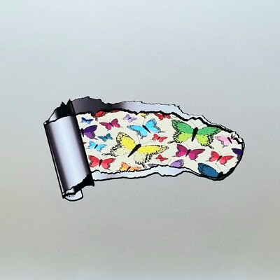 Pretty Butterfly Pattern Ripped Metal Slash Vinyl Sticker Decal For Car ...