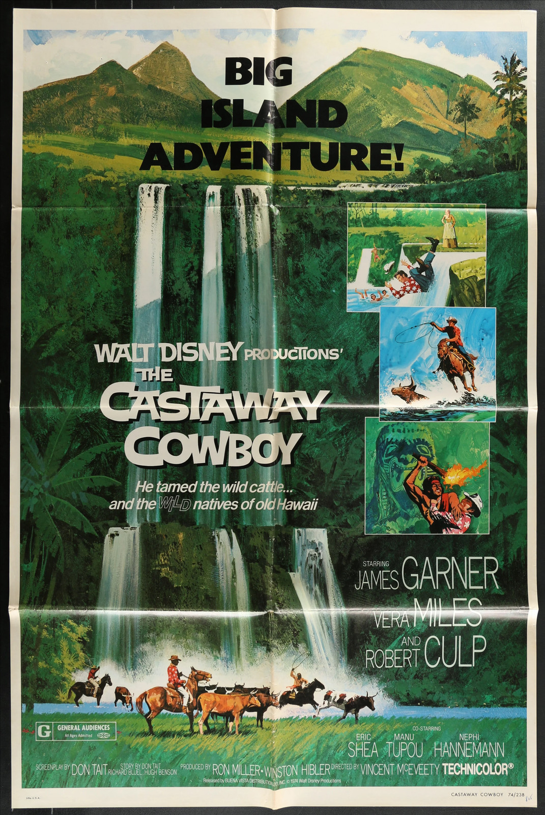 The Castaway Cowboy (1974) Original Movie Poster Folded 27x41 | eBay