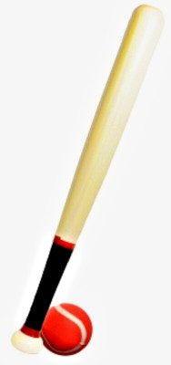 18" Wooden Rounders Baseball Bat & Ball Set Garden Beach Park Outdoor ...