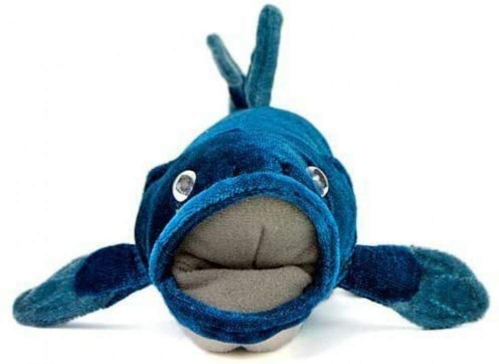 COLORATA Plush Real stuffed coelacanth S size From Japan | eBay