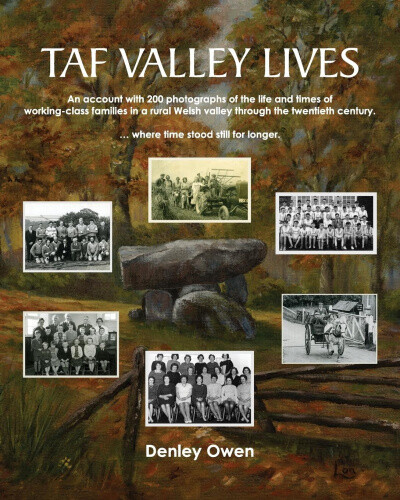 Taf Valley Lives by Owen, Denley 9780993229961 | eBay