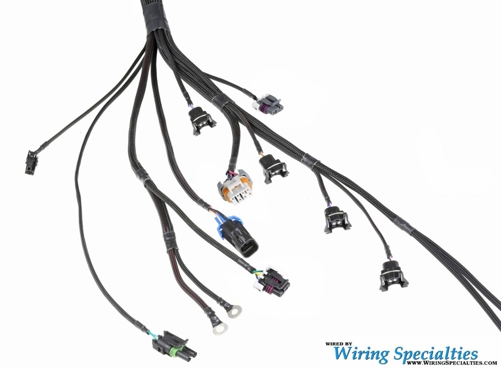 Wiring Specialties Pro Engine Tranny Harness GM LS2 LS3 L92 LSX DBC to ...