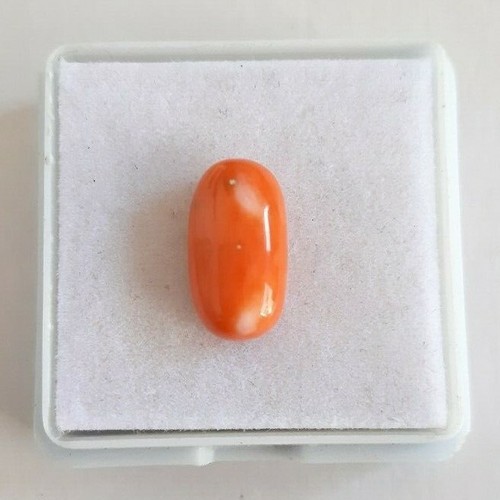 2.50'Ct 100%natural Japanese Sea coral Orange Capsule Handmade Loose ...