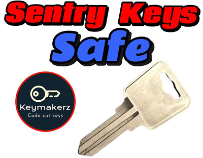 Sentry Safe Keys Replacement Spare key Cut to Your Key Code SB0-SB9 | eBay
