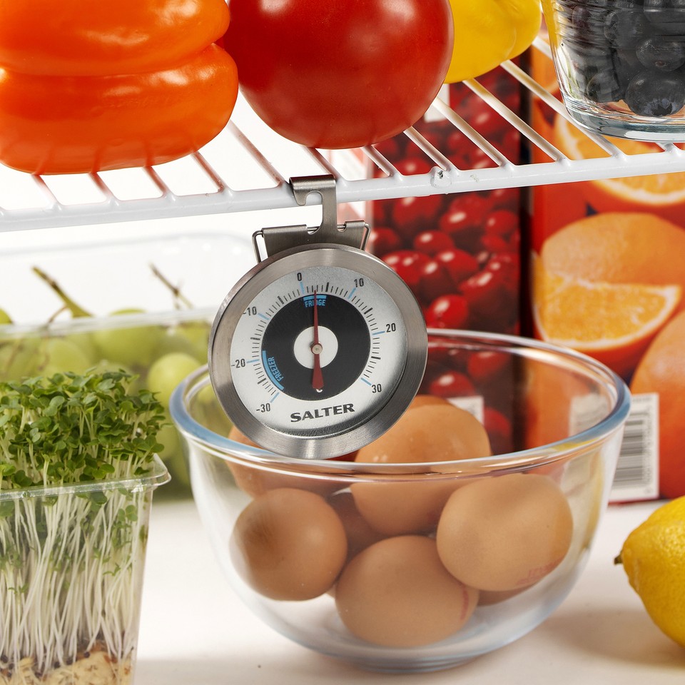 Salter Fridge/Freezer Thermometer Analogue Stainless Steel Food Safety ...