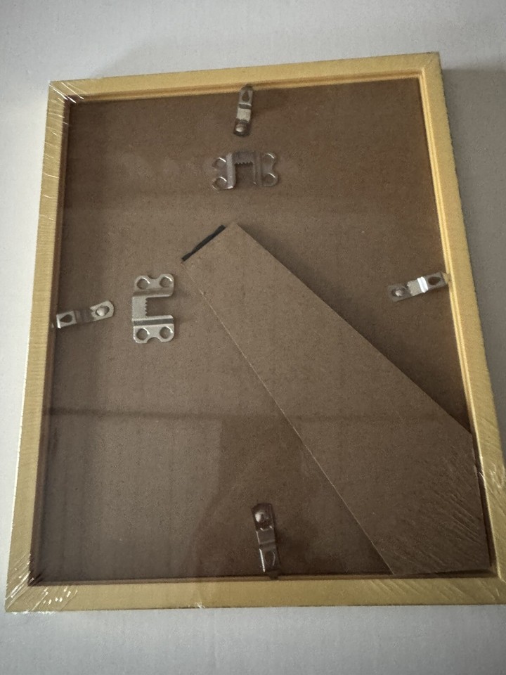 Brushed Golden Basic 8 X 10 Frame NEW Shipping Included | eBay