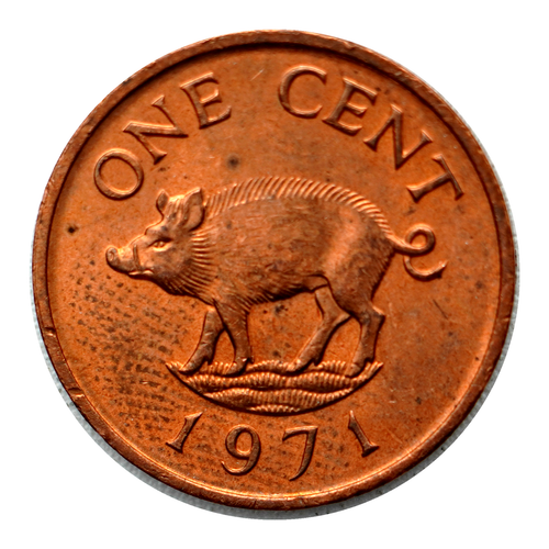 1971 Bermuda 1 Cent Coin, km15, Mintage 4,256,000 - Rare Coin 🇧🇲 🚀 | eBay