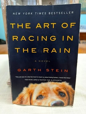 The Art of Racing in the Rain by Garth Stein Paperback | eBay