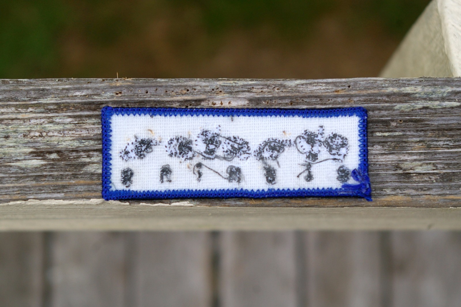 Signing Girl Boy Scouts Embroidered Patch Badge Blue Sign Language ASL ...