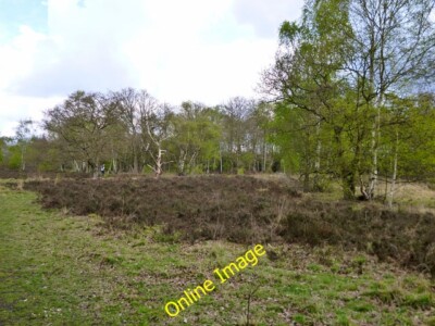 Photo 6x4 Heathy area, Wimbledon Common Putney Heath Probably more of ...