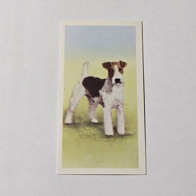 WIRE-HAIRED FOX TERRIER DOG BREED 1957 PRIORY TEA CARD 8A9 DOGS ...