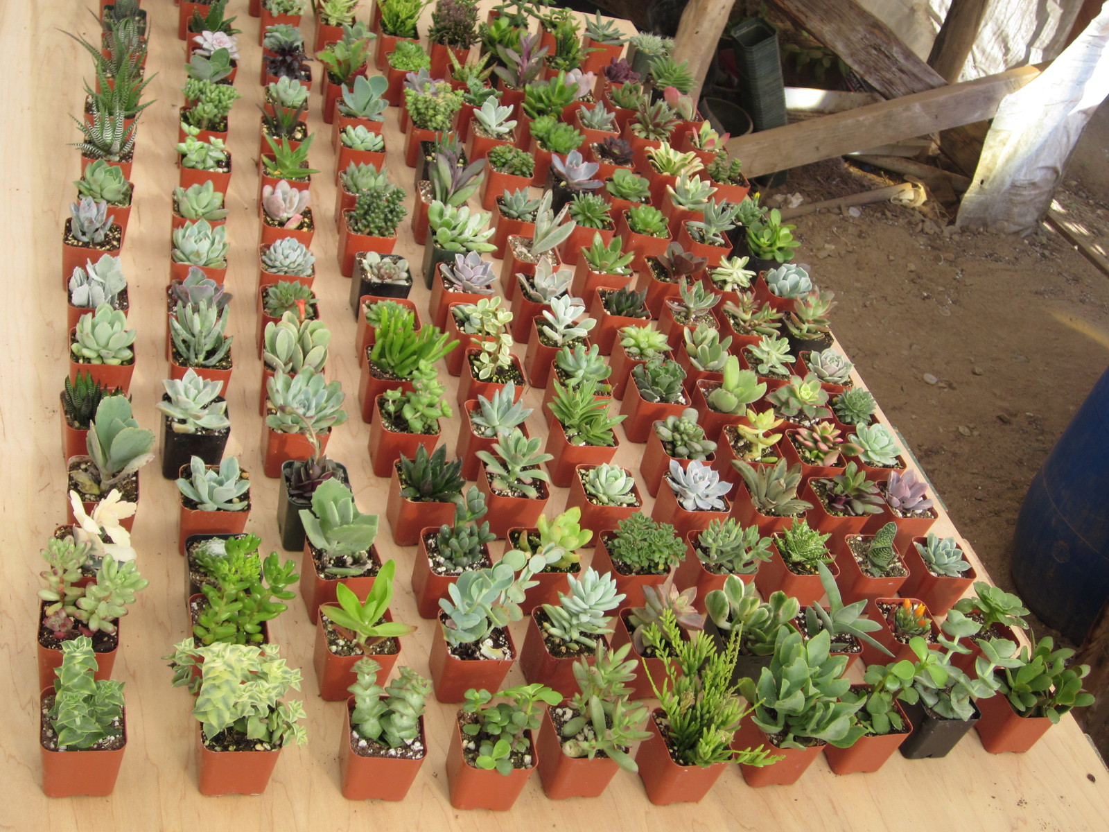 2" Misc. Combination Mix 20pc. Plastic container | eBay