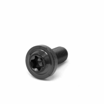 m5 x 12 Titanium Low Profile Screw Torx t25 x 0.8 Ti Washer Bolt ...