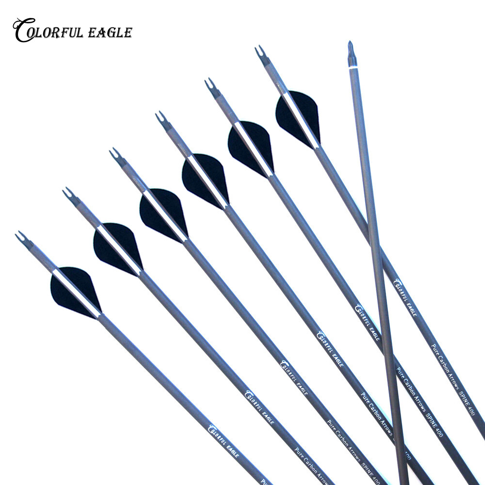 28/30/31" Archery Pure Carbon Arrows Hunting Removable Arrowhead Target ...