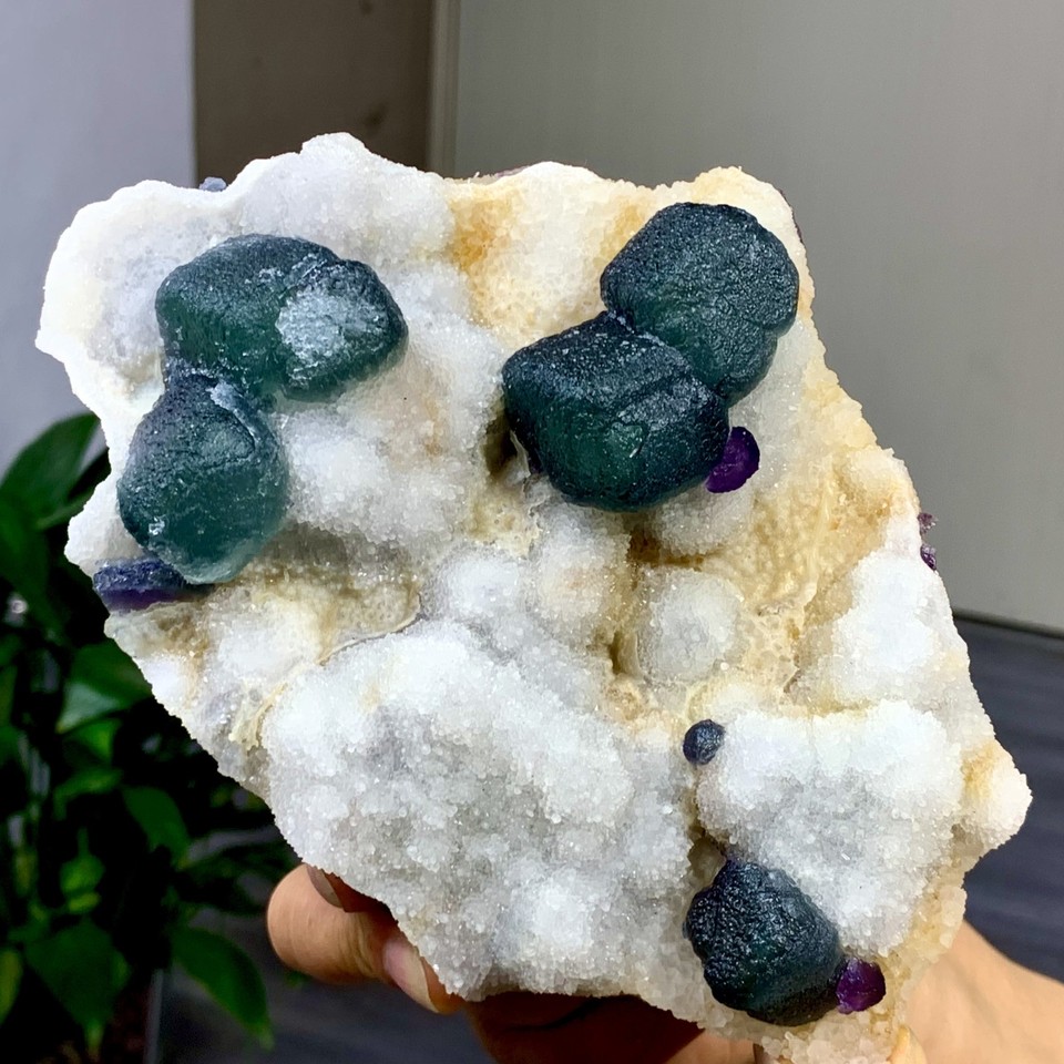 1.74LB Natural transparent green cubic fluorite mineral crystal sample ...