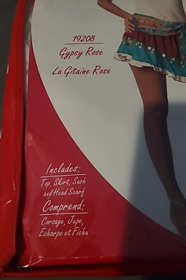 Gypsy Shirt Costume