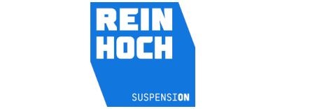 RH06-3061 ANTI ROLL BAR STABILISER DROP LINKS PAIR FRONT REINHOCH 2PCS ...