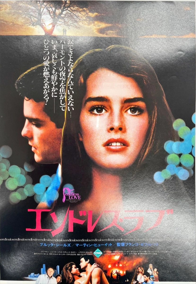 Endless Love 1981 Poster