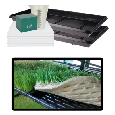 Homemade Fodder System Trays Healthy Fodder System For Your Livestock