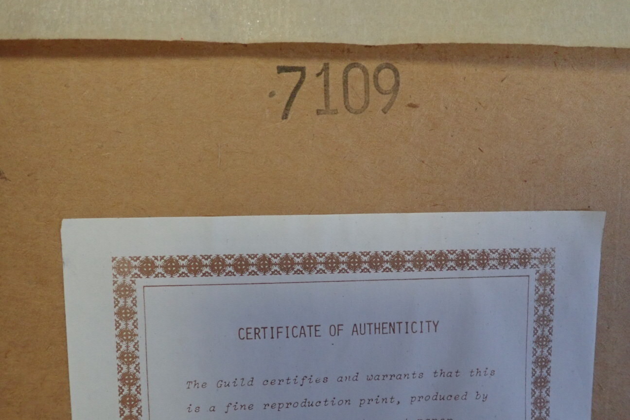 The Guild NEW YORK 2 Framed Lithograph Prints Hummingbirds & Flowers 17 ...