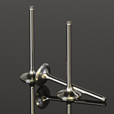 Fits 2013 Suzuki RMZ450 Titanium Intake Valve 8252801 | eBay