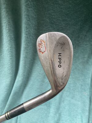 Howson Hippo 2 Iron - RH Steel True Temper Shaft Golf Club | eBay