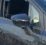 2020-2021 Nissan Versa RH Passenger Door Mirror Side View OEM | eBay