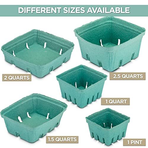 Pint Green Molded Pulp Fiber Berry Basket Produce Vented Container For ...