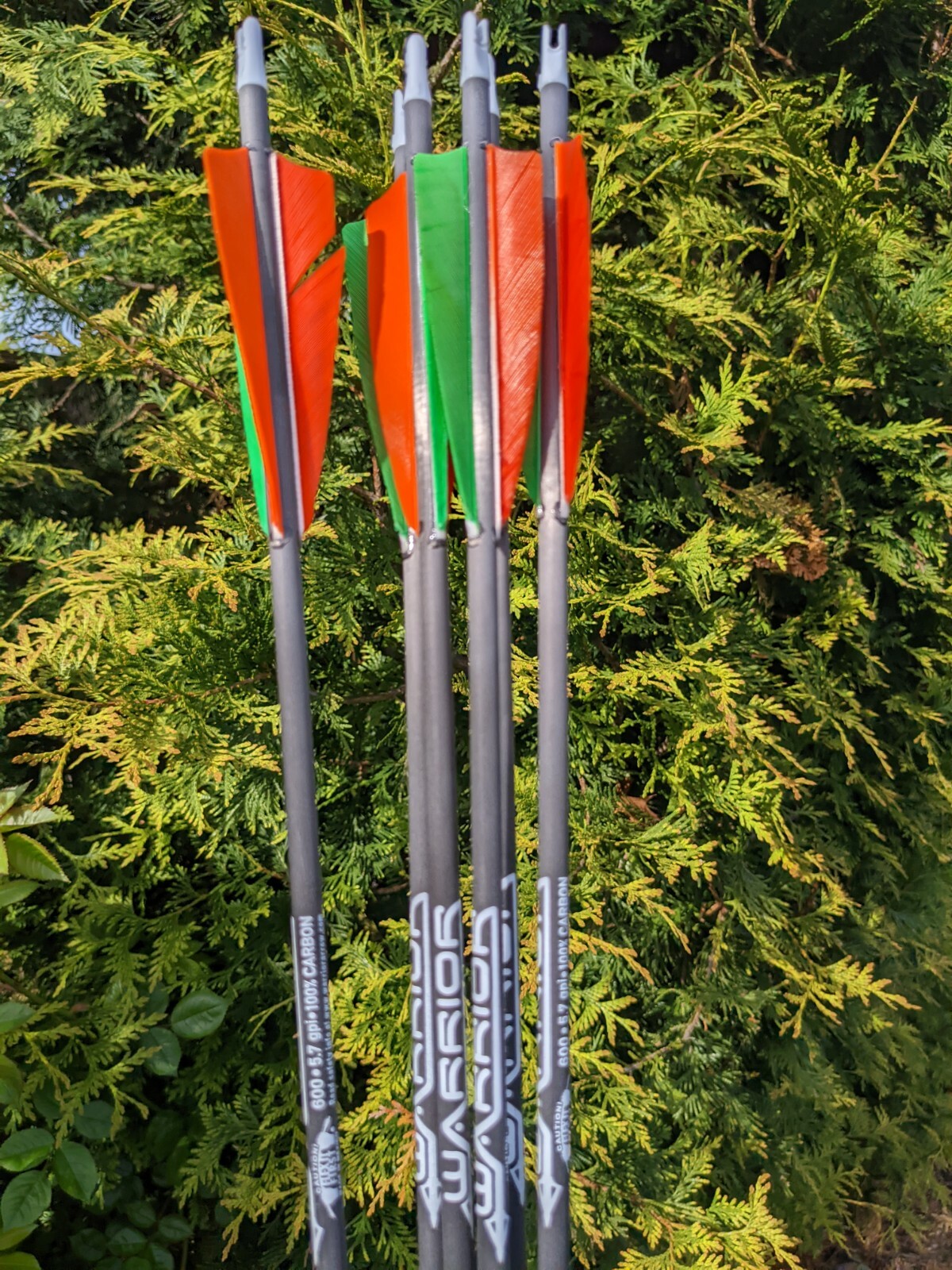 Gold Tip Warrior Carbon Arrows. 700, 600, 500, 400, 340, or 340. 6 Pack ...