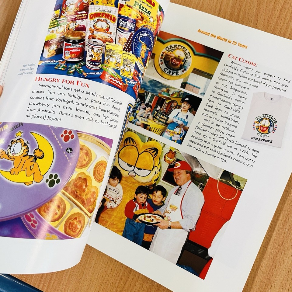 ⭐ GARFIELD AT 25 - Jim Davis ⭐ US Sekundärliteratur Softcover (englisch ...