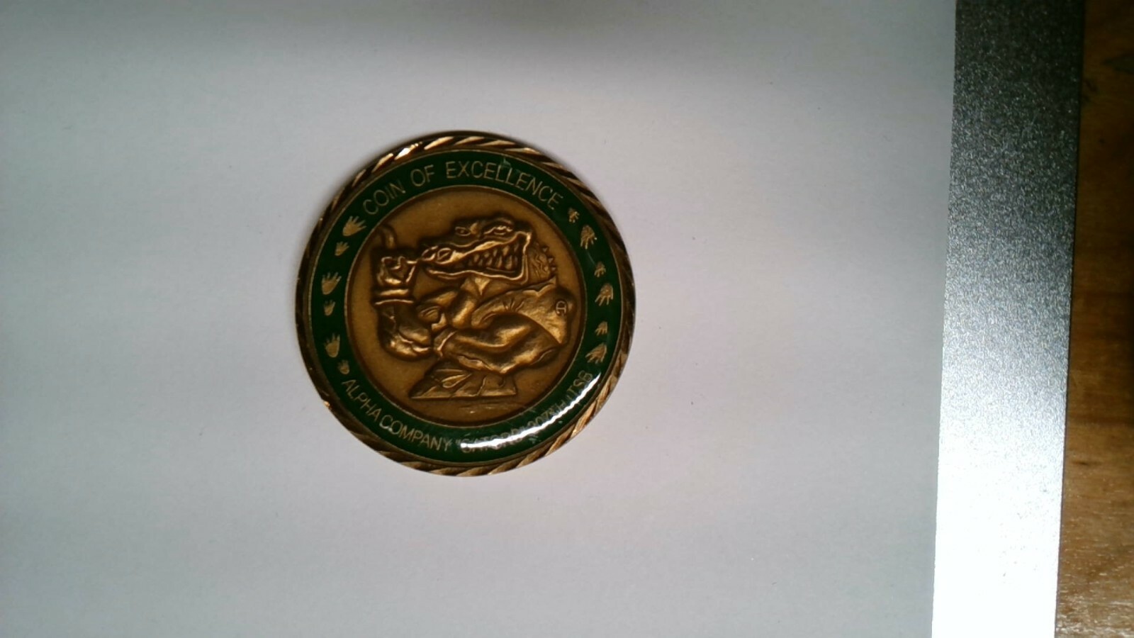 CHALLENGE COIN ALPHA COMPANY "GATORS" 307TH ITSB PRIDE OR DIE COIN OF ...