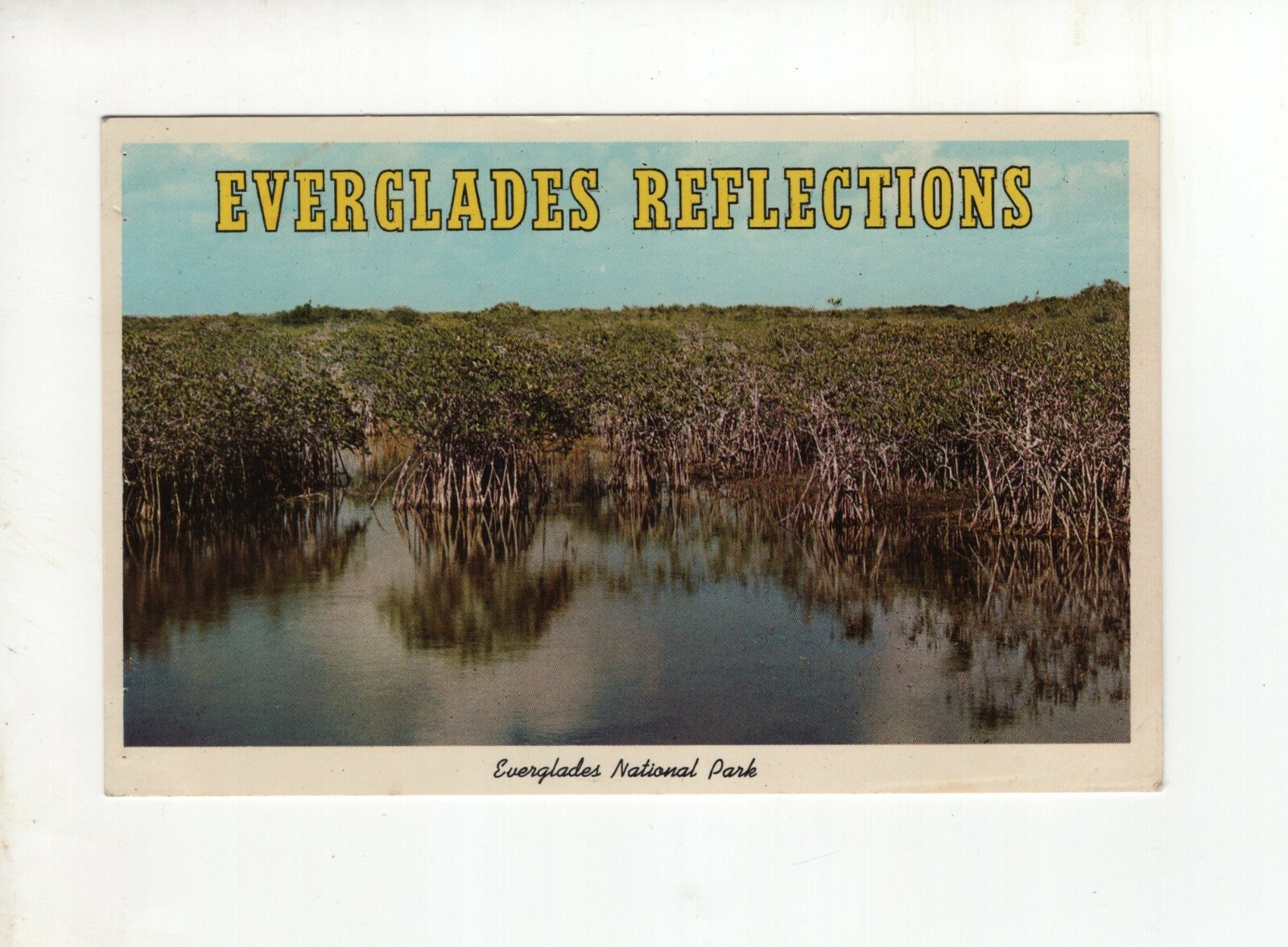 Vintage Post Card - Everglades Reflections - Everglades National Park - Florida | eBay