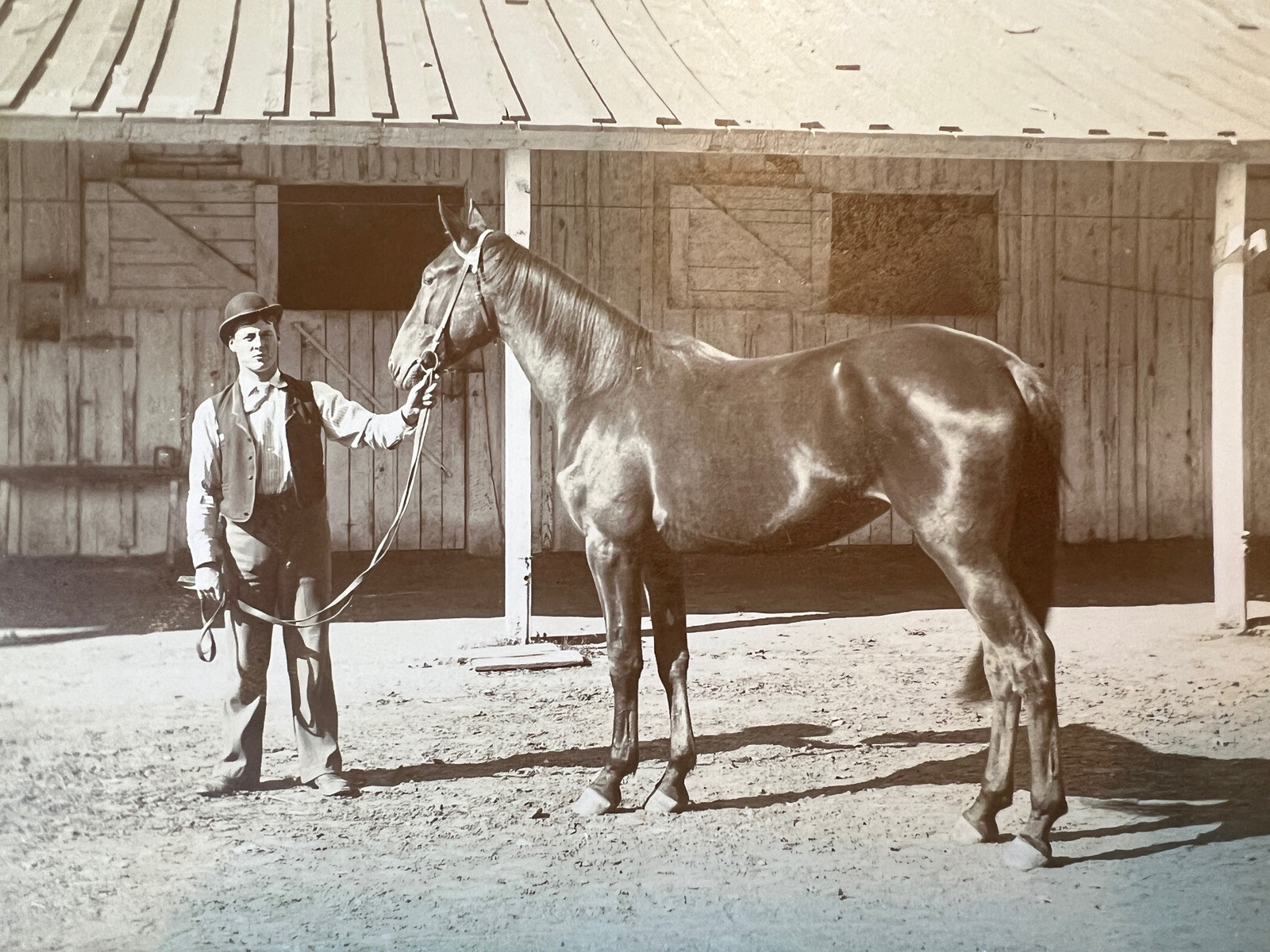 1896 THE OAKWOOD PARK Muriel Wiley THOROUGHBRED RACING HORSE PHOTO Cook ...