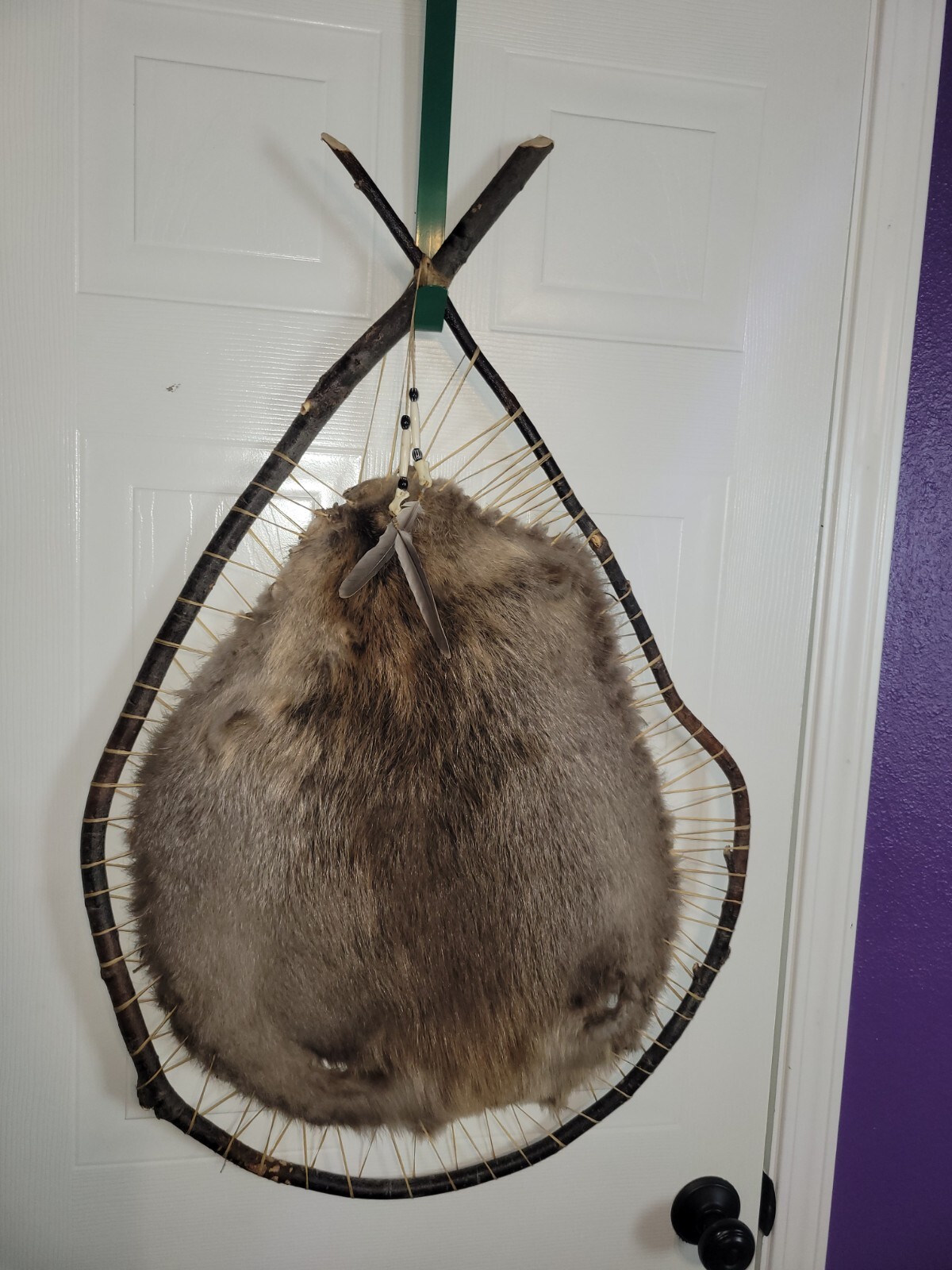 Hooped Beaver Hide, pelt, fur, trapping, hunt, cabin decor, rustic ...