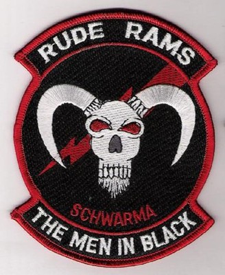 USAF AN/AAQ-14 LANTIRN F-16 34TH TFS RUDE RAMS EMBROIDERED Iron-on ...