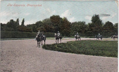 The Severals & Race Horses, NEWMARKET, Suffolk | eBay UK