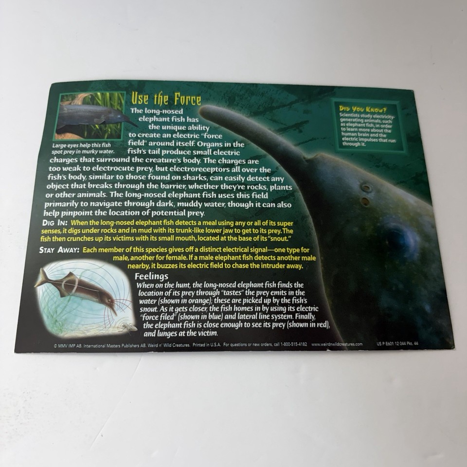 Weird N’ Wild Creatures Strange Wonders Long Noses Elephant Fish Card ...