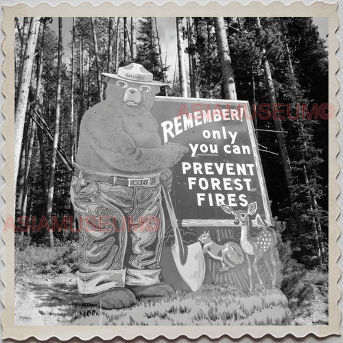 50s YELLOWSTONE NATIONAL PARK SMOKEY BEAR SIGN WYOMING VINTAGE USA ...