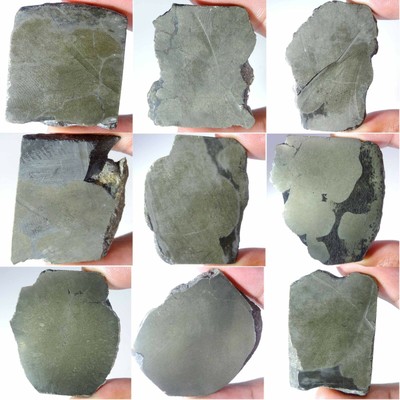 APACHE GOLD SLAB POLISHED ROUGH FOR CABOCHON NATURAL GEMSTONE AB36 | eBay