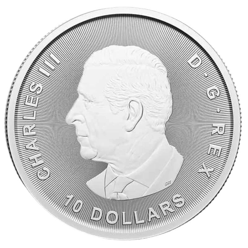 2024 CANADA WOOLLY MAMMOTH ICE AGE $10 2oz .9999 Pure Silver Bullion ...