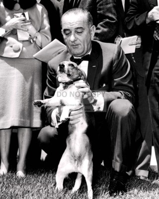 PRESIDENT LYNDON B. JOHNSON WITH PET BEAGLE "HER" - 8X10 PHOTO (BB-183 ...