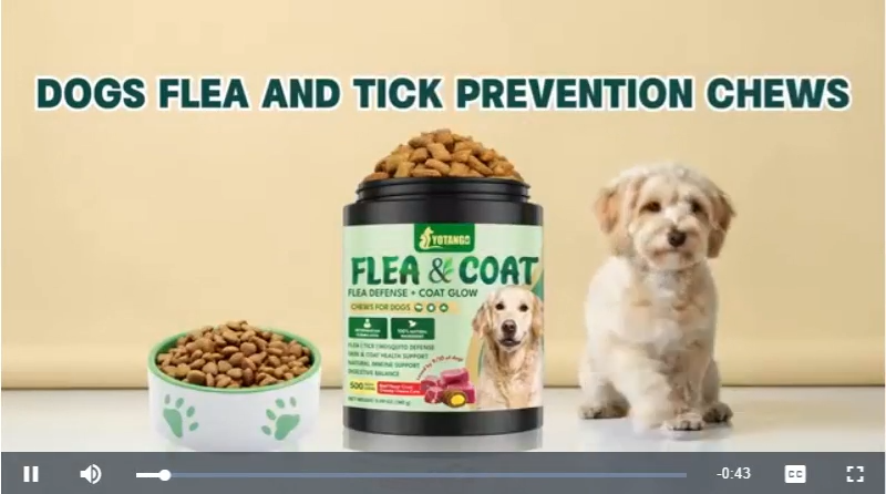 Flea and Tick Support for Cats – 500 Crunchy & Creamy Chews, Cat Flea ...