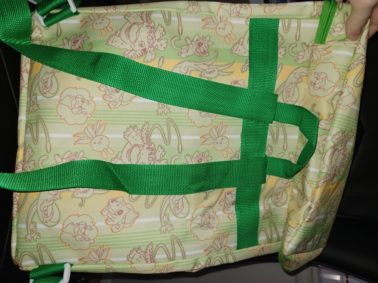 pokemon-grass-type-backpack-ebay