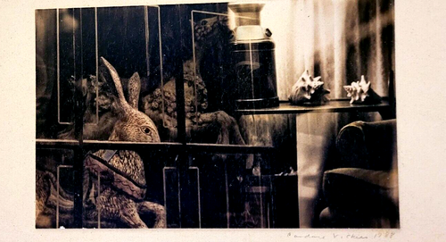 Candace Vickers 1988 Signed Original Mounted 3.5" x 5.5" STILL LIFE 8 X ...