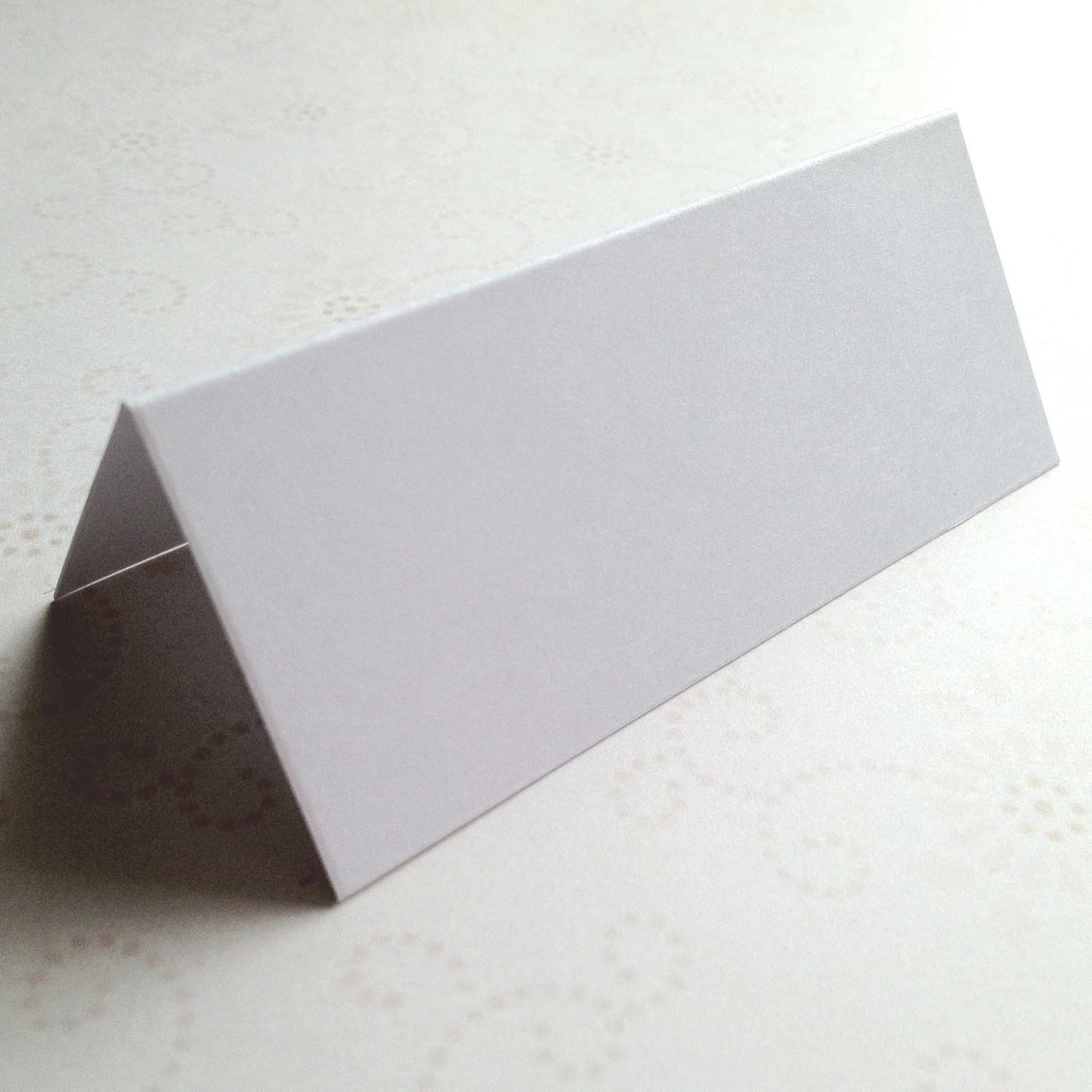 Table Place Name Cards Pack Blank Plain for Wedding, Conference ...
