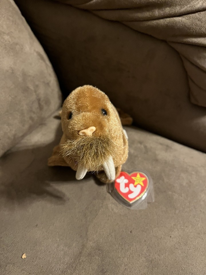 ty beanie babies Paul The Walrus. PVC Pellets. Mwmt | eBay