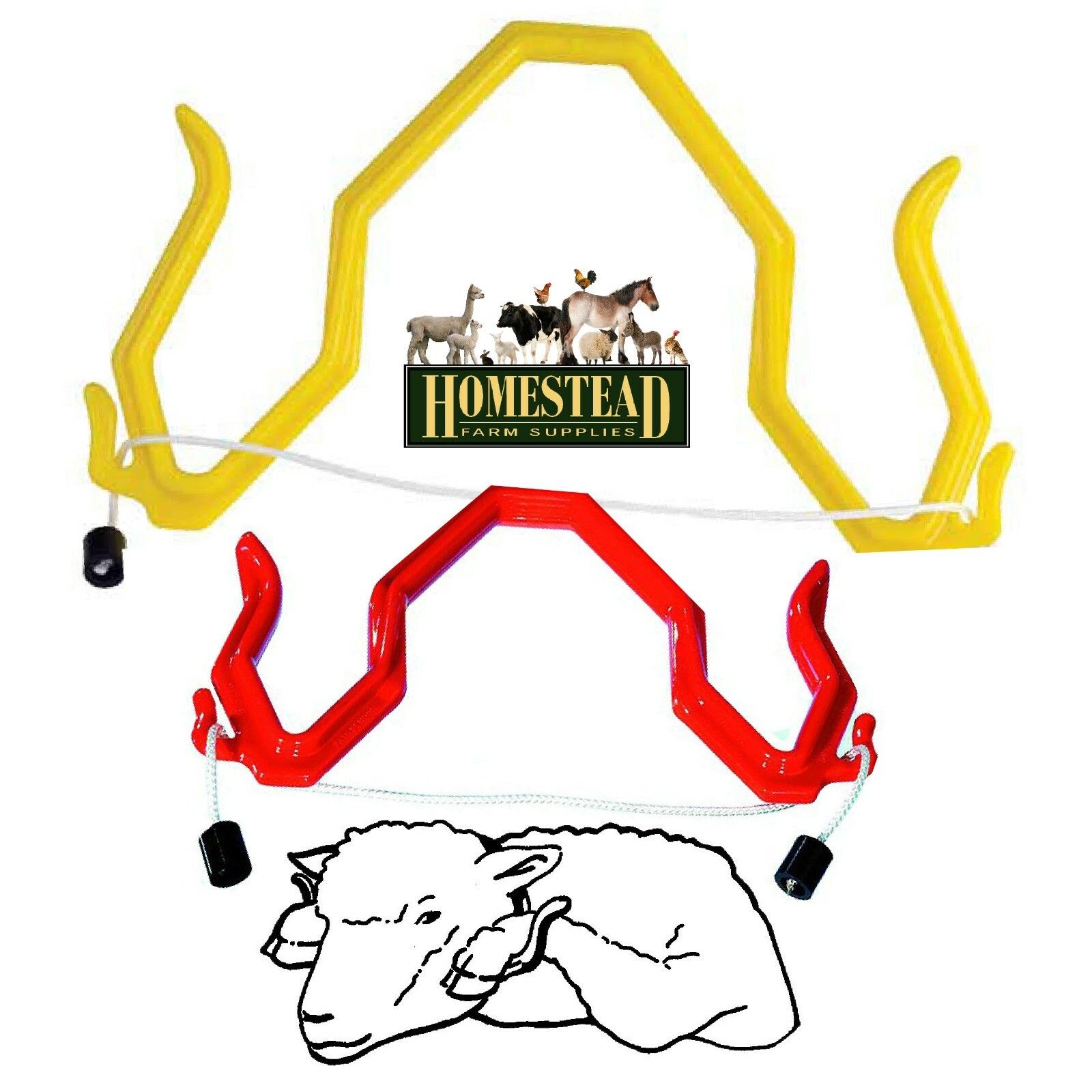 GAMBREL SHEEP RESTRAINER SHEEP or GOAT HANDLING - LARGE or SMALL | eBay